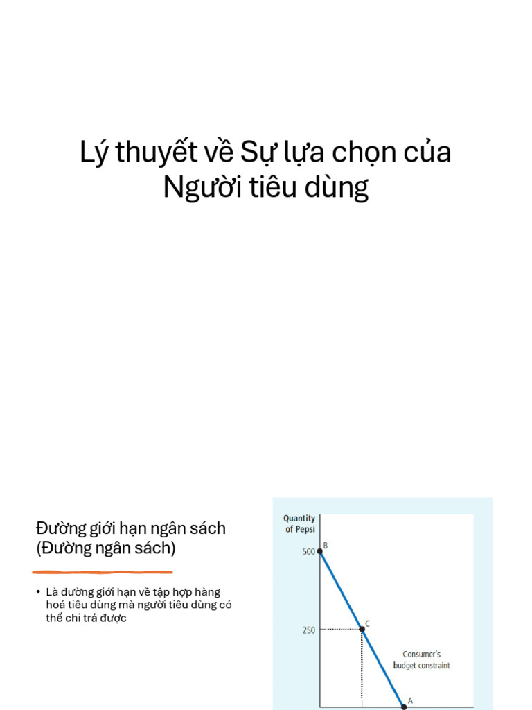Consumer Theory Vietnamese | PDF