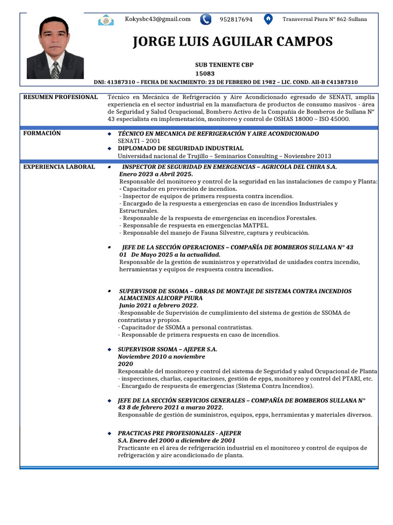 CV Jorge Luis Aguilar Campos 07-2025 | PDF | La seguridad | Las ...