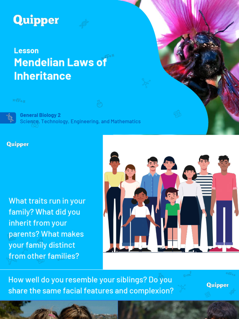 Mendelian-laws-og-Inheritance-2 | PDF | Dominance (Genetics) | Genetics