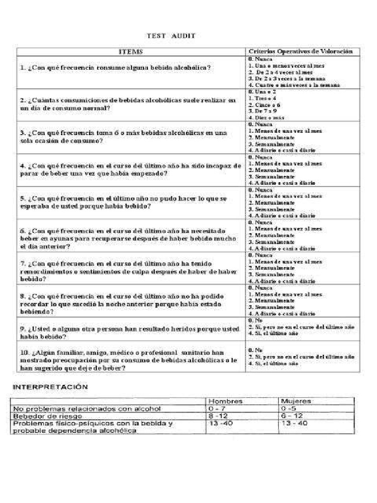 Test Audit | PDF