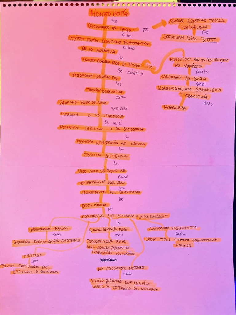 mapa conceptual homeopatia | PDF