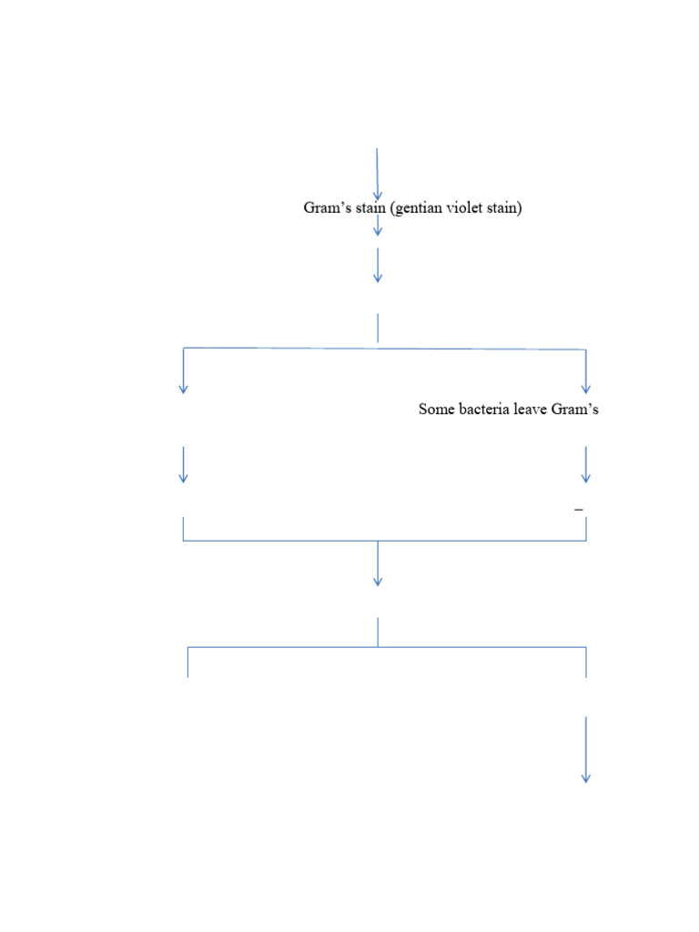 Bacterial Classification and Staining Methods | PDF | Bacteria | Human ...