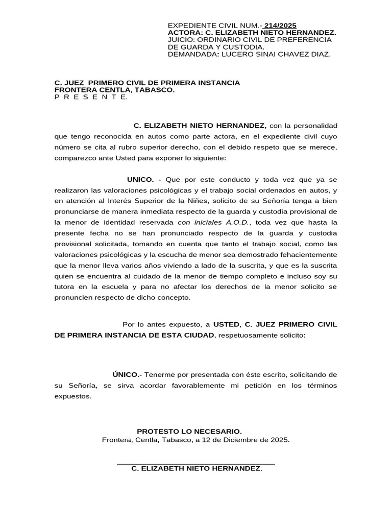 Solicitando Custodia Provisional Elizabeth Nieto | PDF