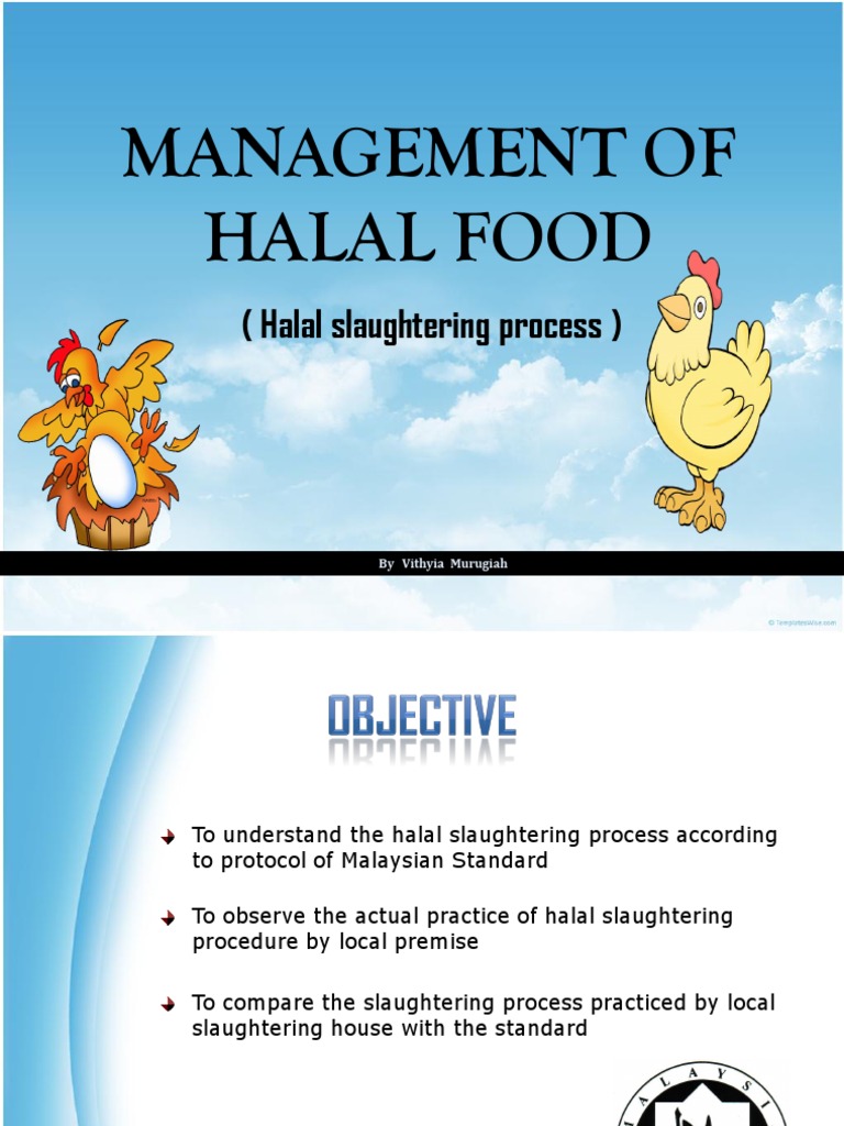 Halal Slaughtering Process | PDF | Animal Slaughter | Islamic Ethics