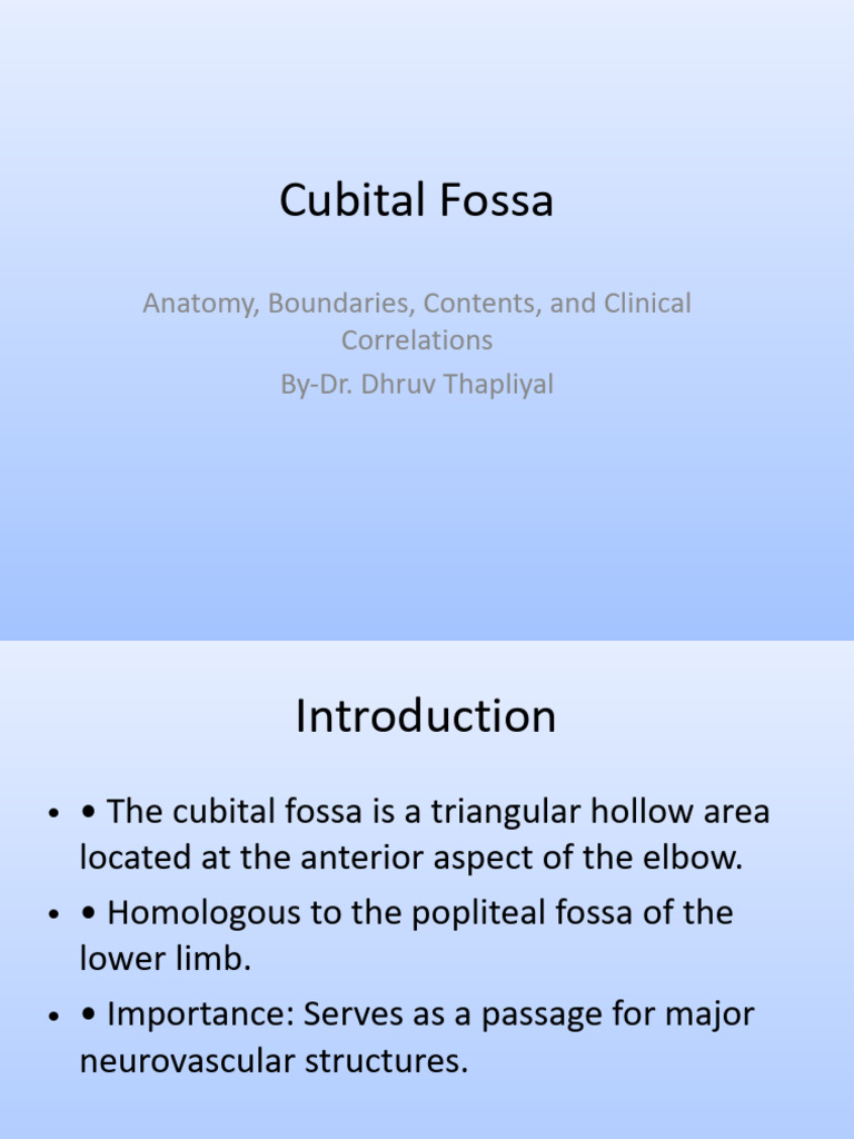Cubital Fossa | PDF | Limbs (Anatomy) | Human Anatomy