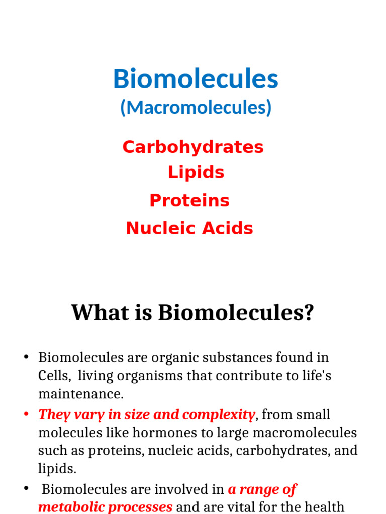 Unit 1. Biomolecules - Macromolecules L2 | PDF | Rna | Nucleic Acids