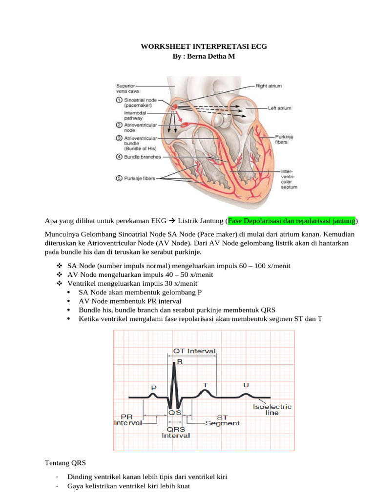 Panduan Interpretasi EKG Lengkap | PDF