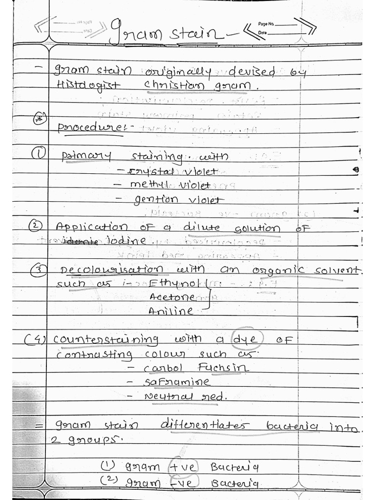 Bacteriology Notes | PDF