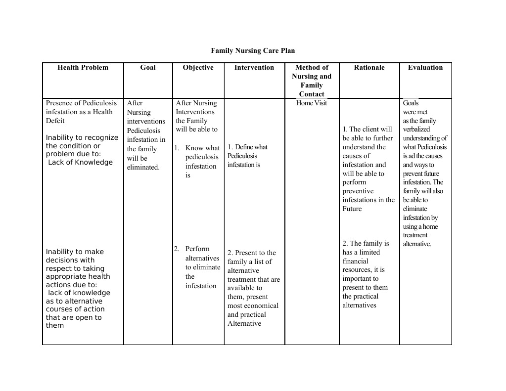Family Nursing Care Plan | PDF