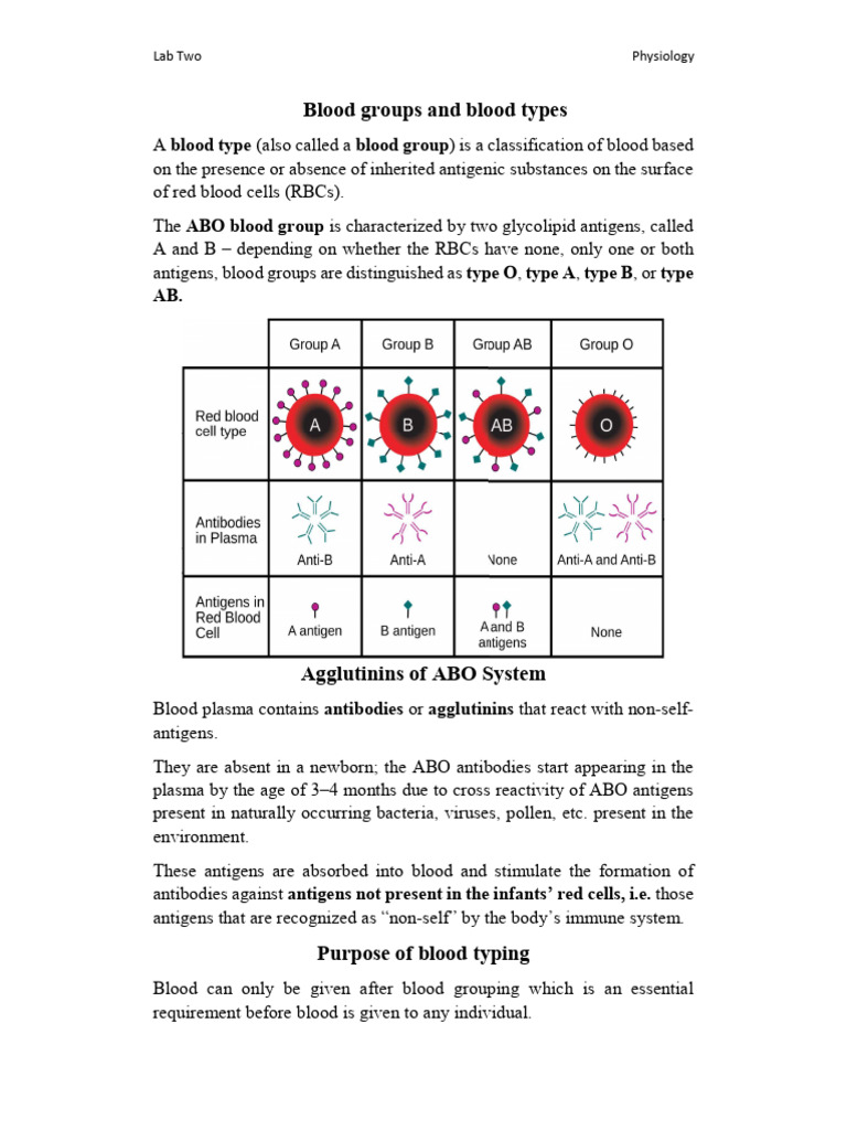 Practical ABO and RH Blood Grouping | PDF | Blood Type | Antibody