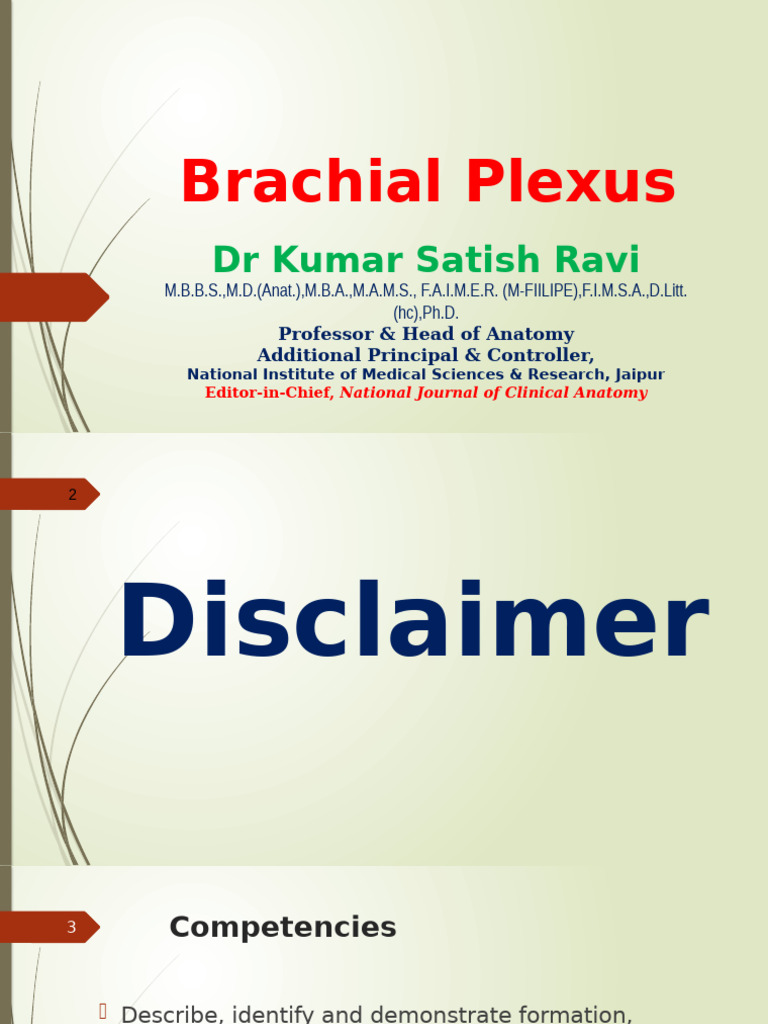 Brachial Plexus - DR - Ravi | PDF | Musculoskeletal System | Nervous System