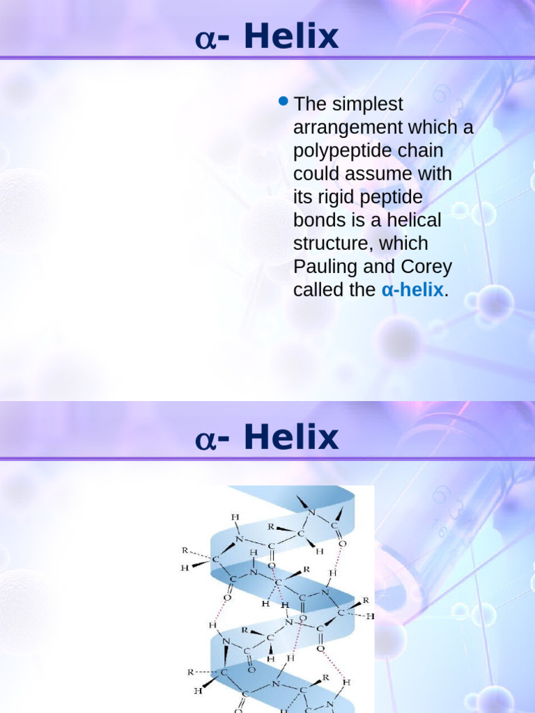 Lesson 24 Alpha Helix | PDF