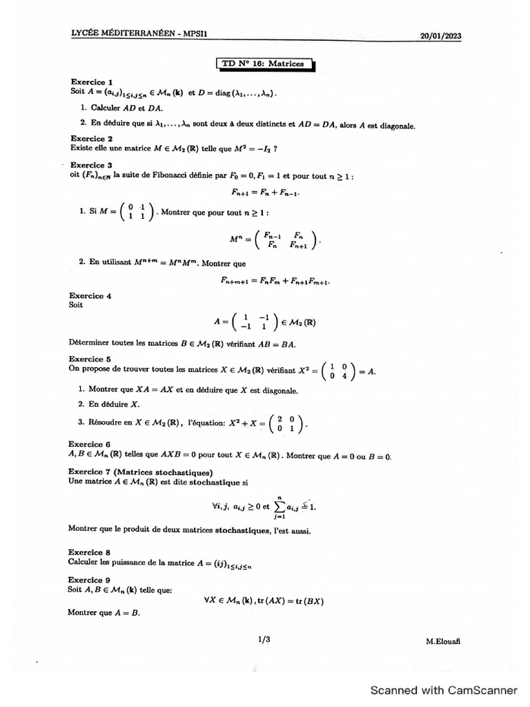 (TD) (P24) Matrices | PDF