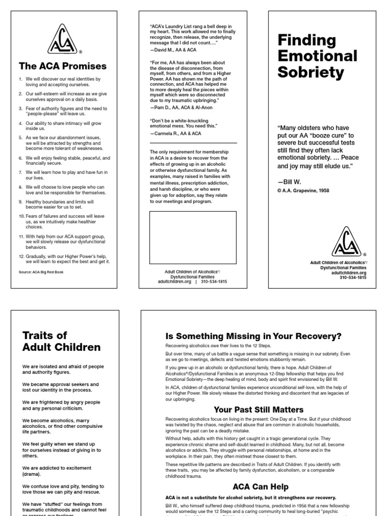 Achieving Emotional Sobriety in Recovery | PDF | Twelve Step Program ...