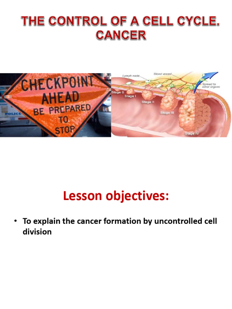 Understanding Cancer Formation and Control | PDF