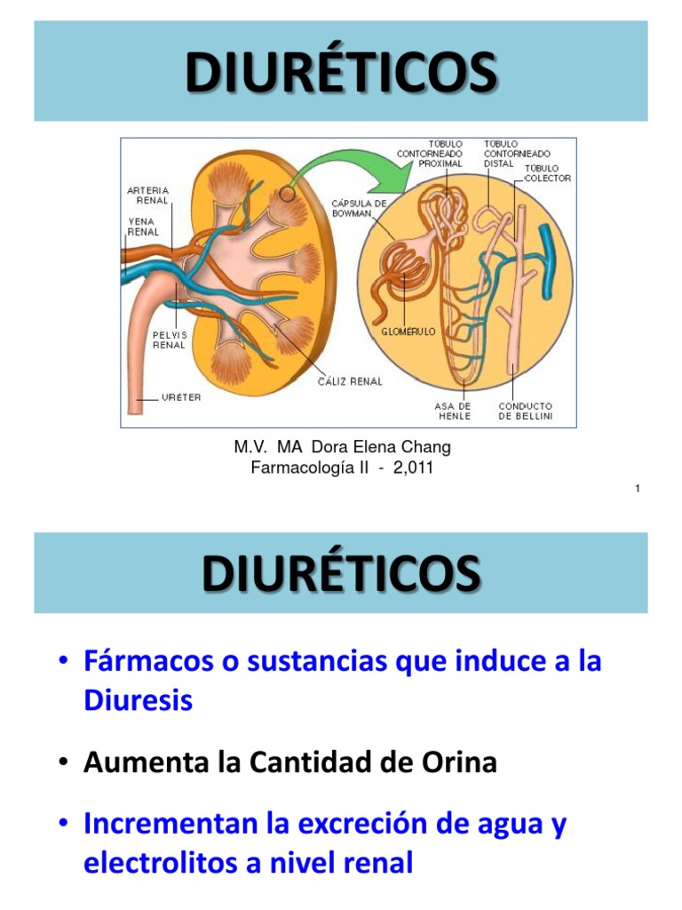 Diuréticos: Clasificación y Mecanismos | PDF | Farmacología | Drogas