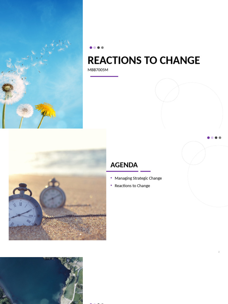 Understanding Reactions to Change | PDF | Change Management | Self Esteem