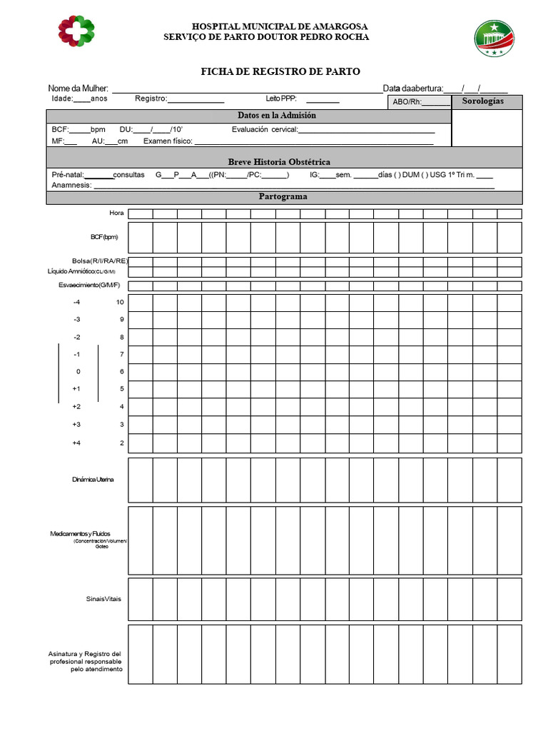 Ficha de Registro de Parto en Amargosa | PDF | Parto | Salud maternal