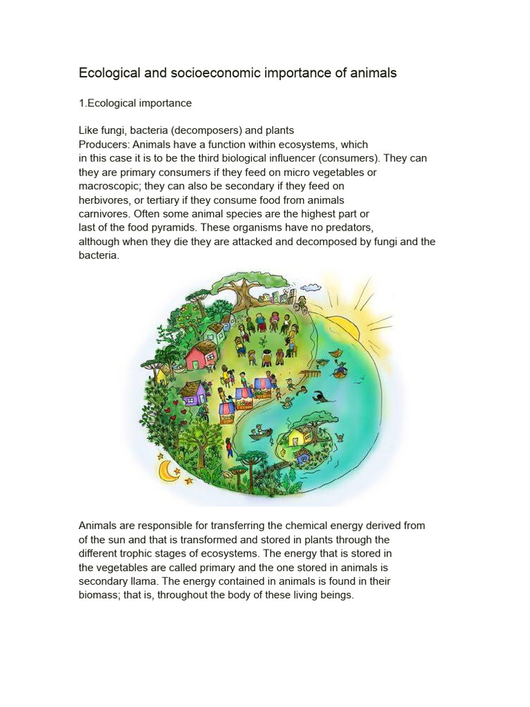 Ecological and Socioeconomic Importance of Animals | PDF | Ecology ...