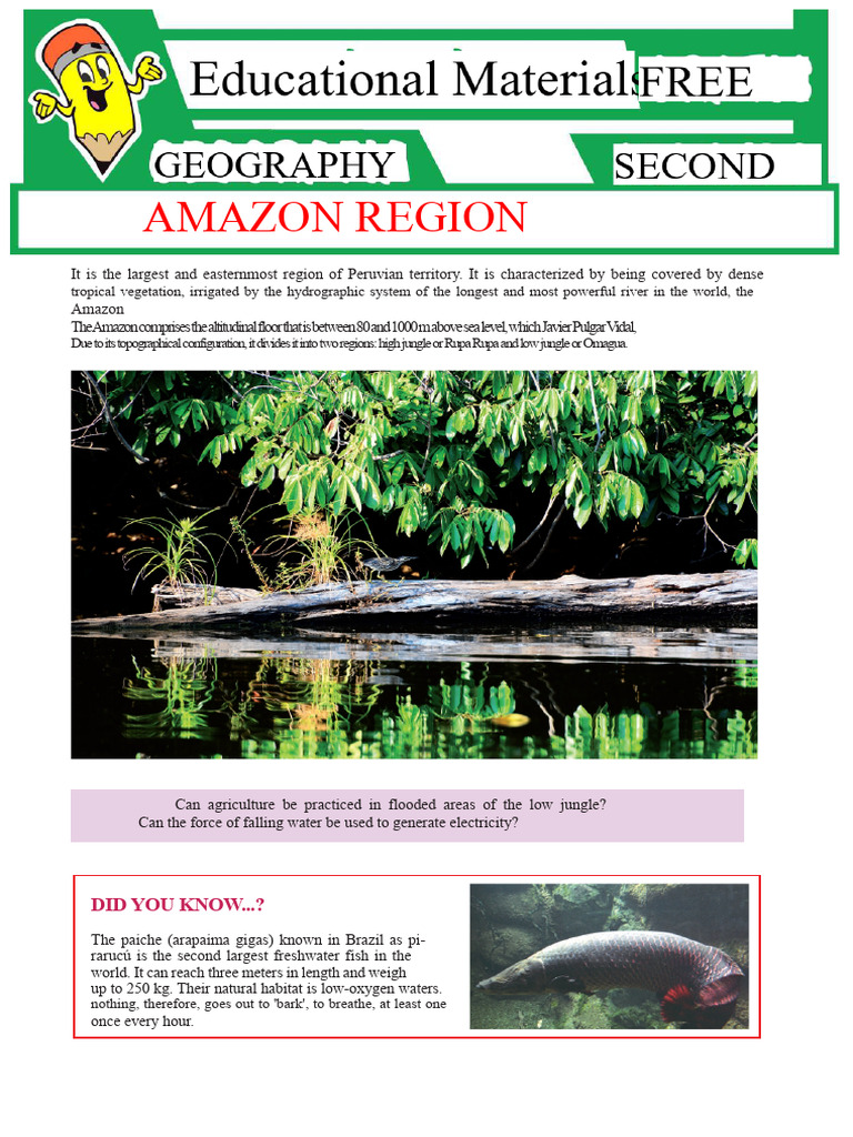 Overview of the Amazon Region in Peru | PDF | Amazon River | Landscape