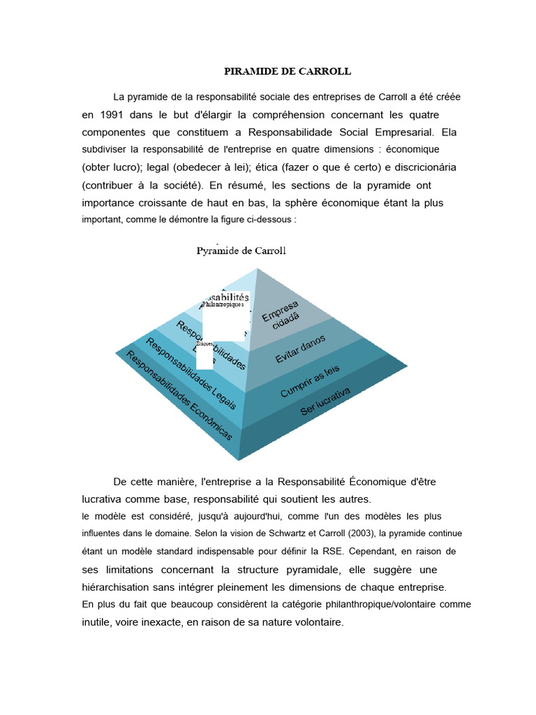 Pyramide de Carroll : RSE en quatre dimensions | PDF | Responsabilité ...
