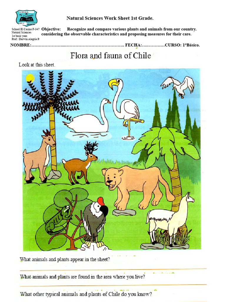 Native Plants and Animals of Chile 1st Grade | PDF