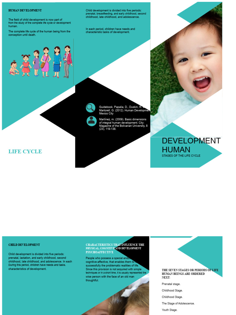 Stages of Human Development Explained | PDF | Child Development ...