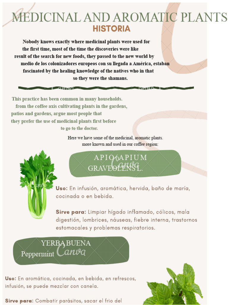 Medicinal and Aromatic Plants Guide | PDF