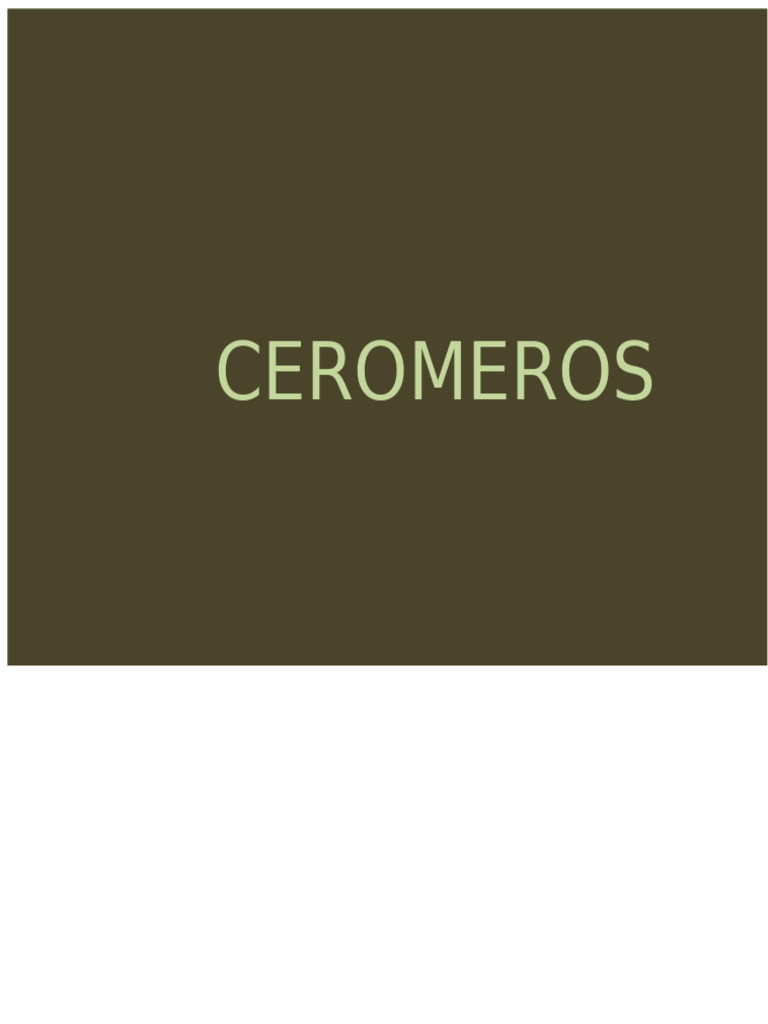 dental ceromers | PDF | Applied And Interdisciplinary Physics | Materials