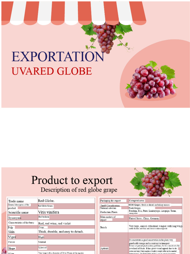 Exporting Red Globe Grapes to the USA | PDF | Customs