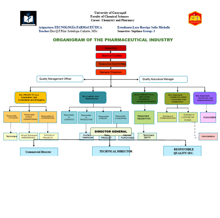 Organizational Chart of The Pharmaceutical Industry | PDF ...