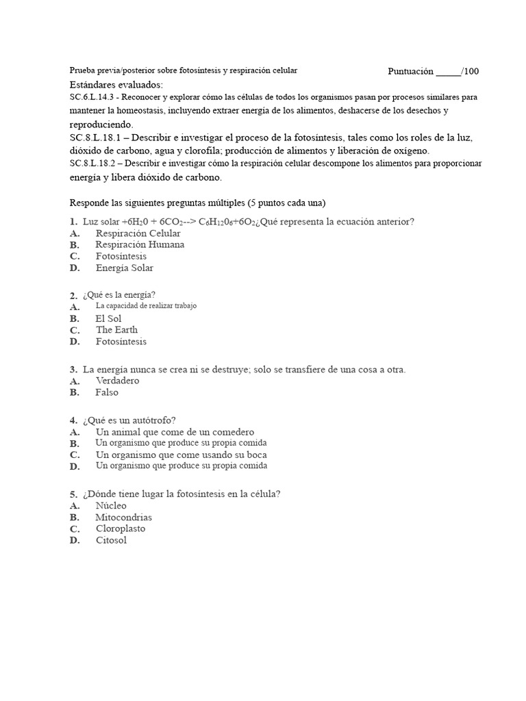 Hoja de Trabajo de Fotosíntesis y Respiración Celular | PDF ...