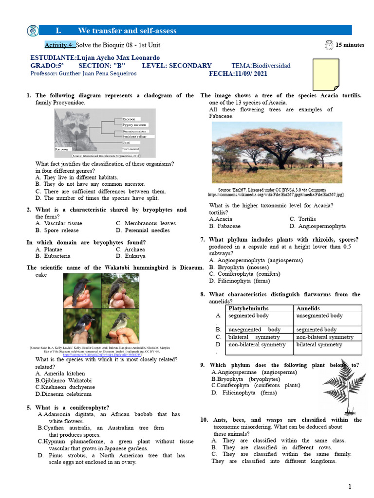 Biodiversity Classification Quiz for Students | PDF | Fern | Plants