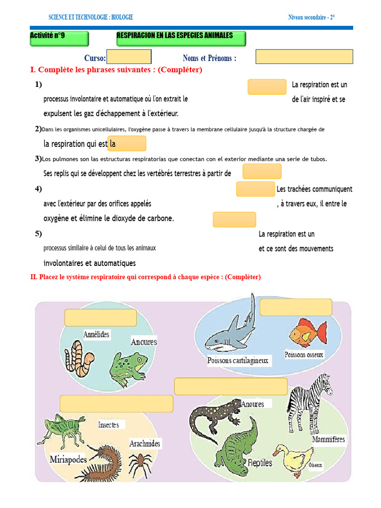 Respiration chez les espèces animales | PDF