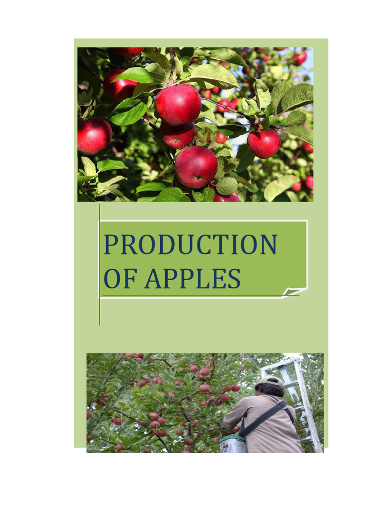 Apple trees | PDF | Apple | Irrigation