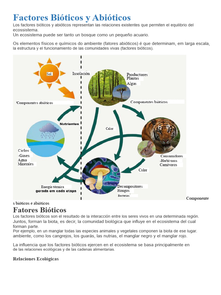 Factores Bióticos y Abióticos en Ecosistemas | PDF | Ecología | Ecosistema