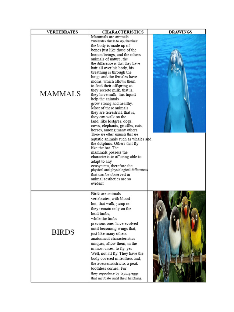 Characteristics of Vertebrates | PDF | Mammals | Vertebrates