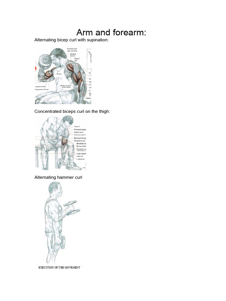 Arm and Forearm and Shoulders | PDF