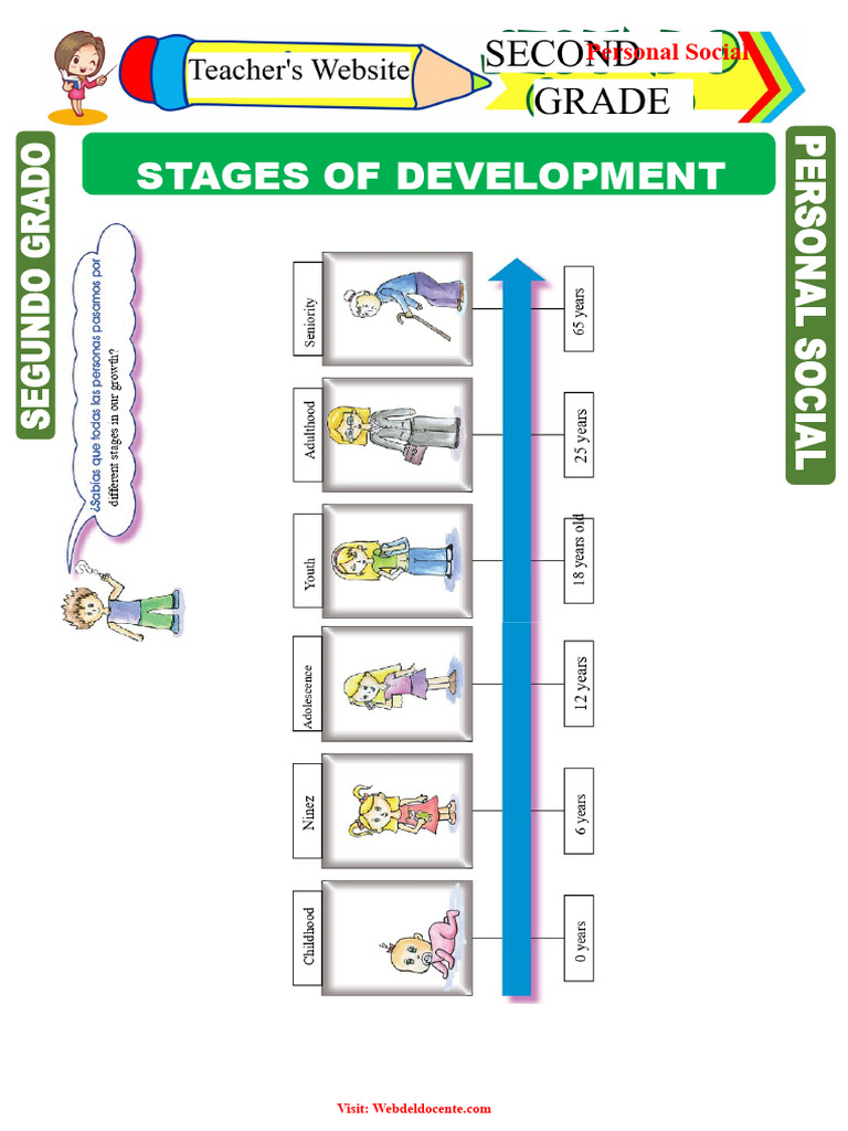 Stages of Human Development For Second Grade of Primary School | PDF