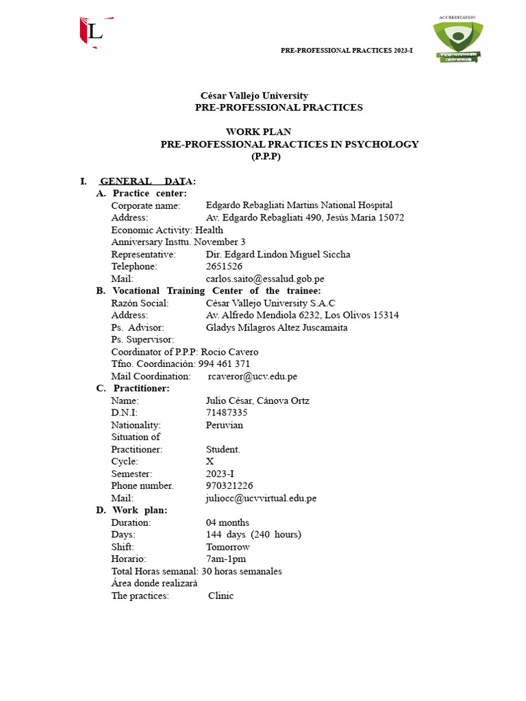 Work Plan - Rebagliati Clinical Area | PDF | Psychology | Mental Health