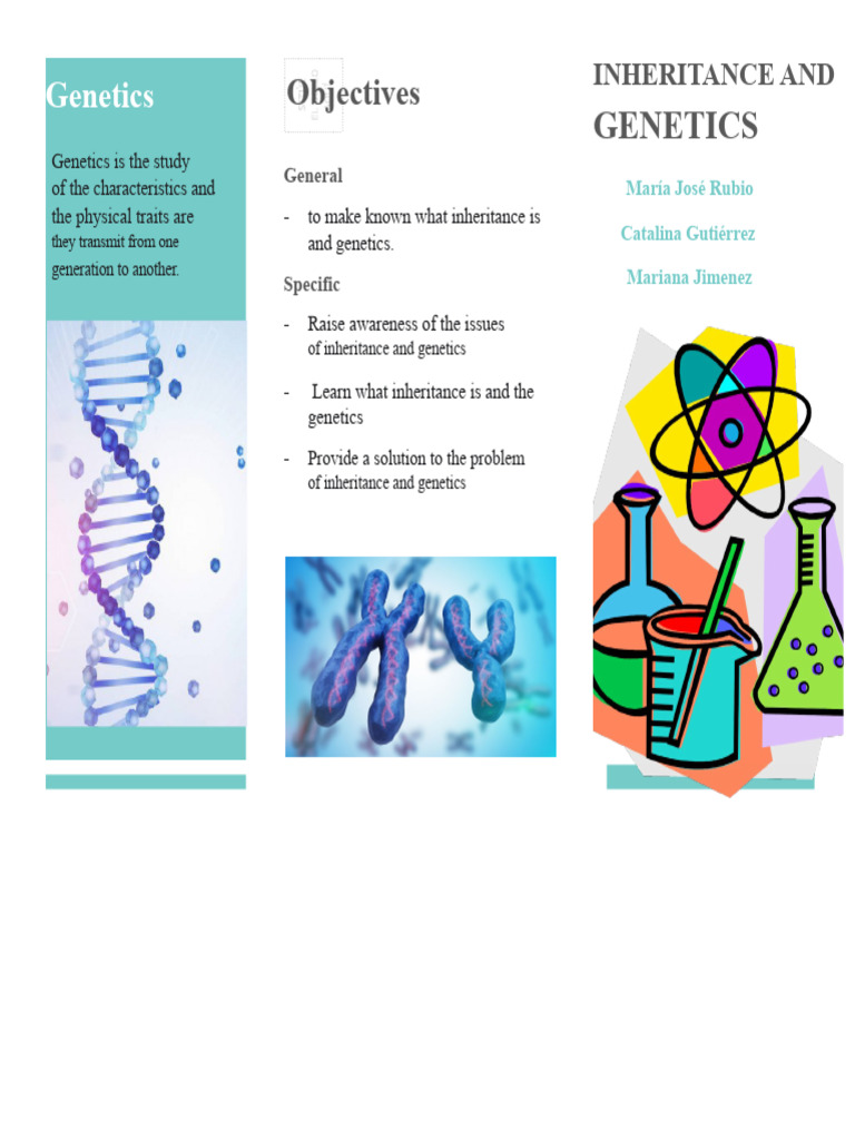 Brochure Issues, Objectives | PDF | Genetics | Heredity
