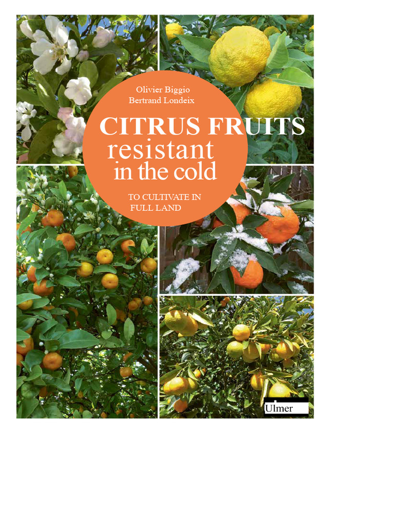 Cold-Hardy Citrus Cultivation Guide | PDF | Citrus | Grapefruit