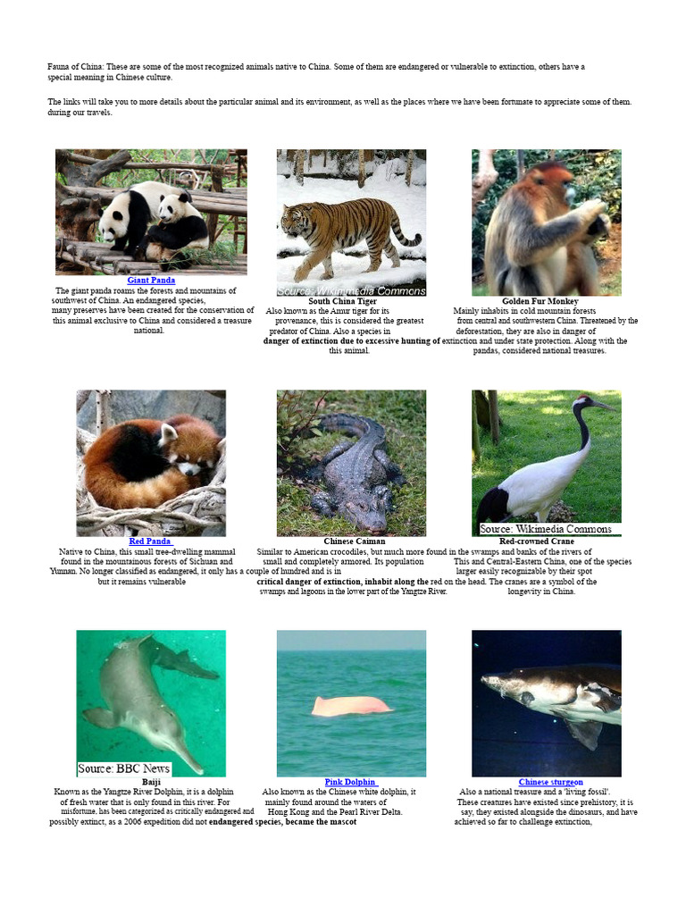 Fauna of China | PDF | Giant Panda | China