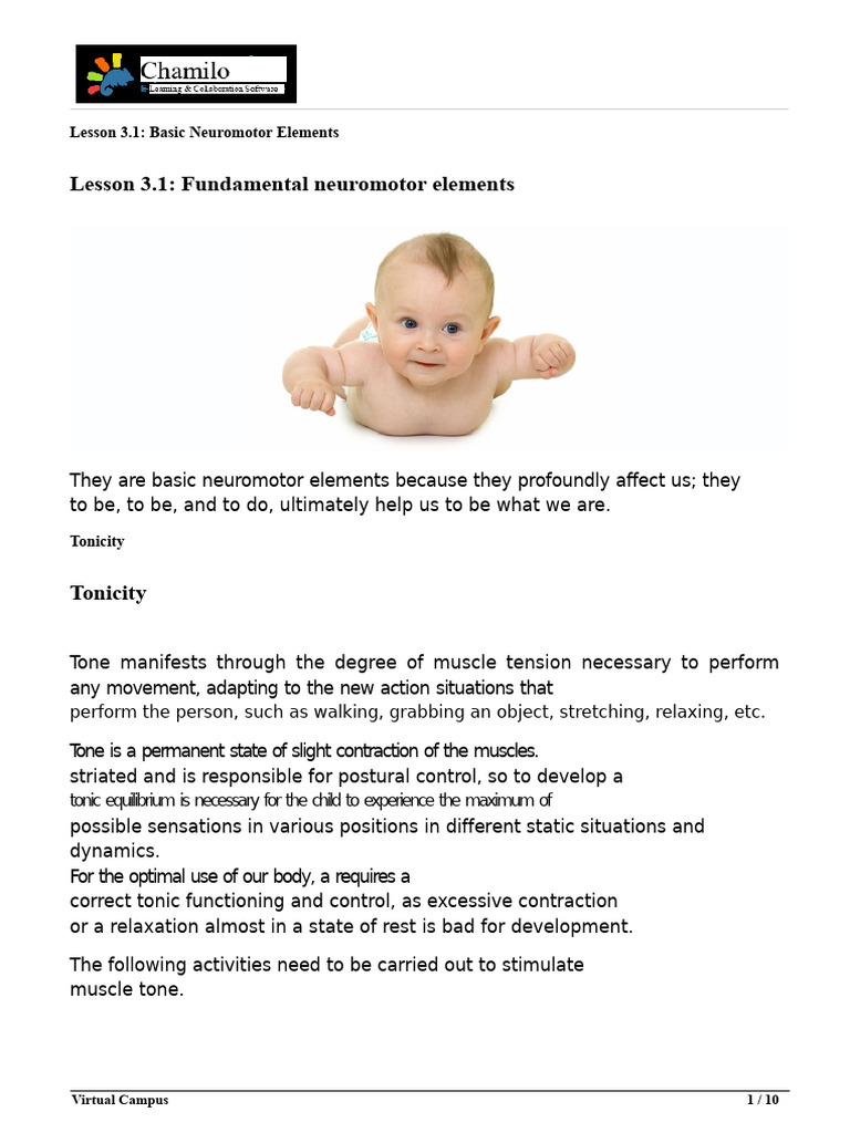 Lesson 3.1 - Basic Neuromotor Elements | PDF | Anatomical Terms Of ...