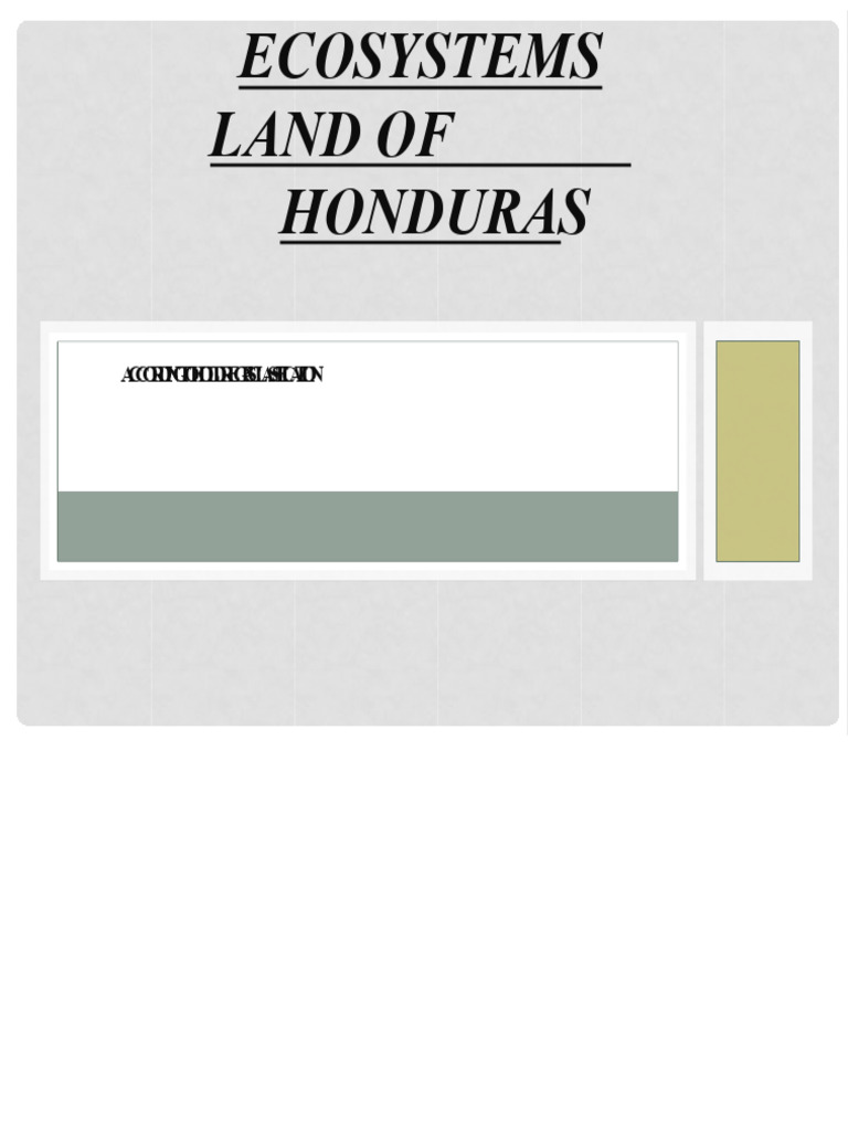 Terrestrial Ecosystems of Honduras | PDF