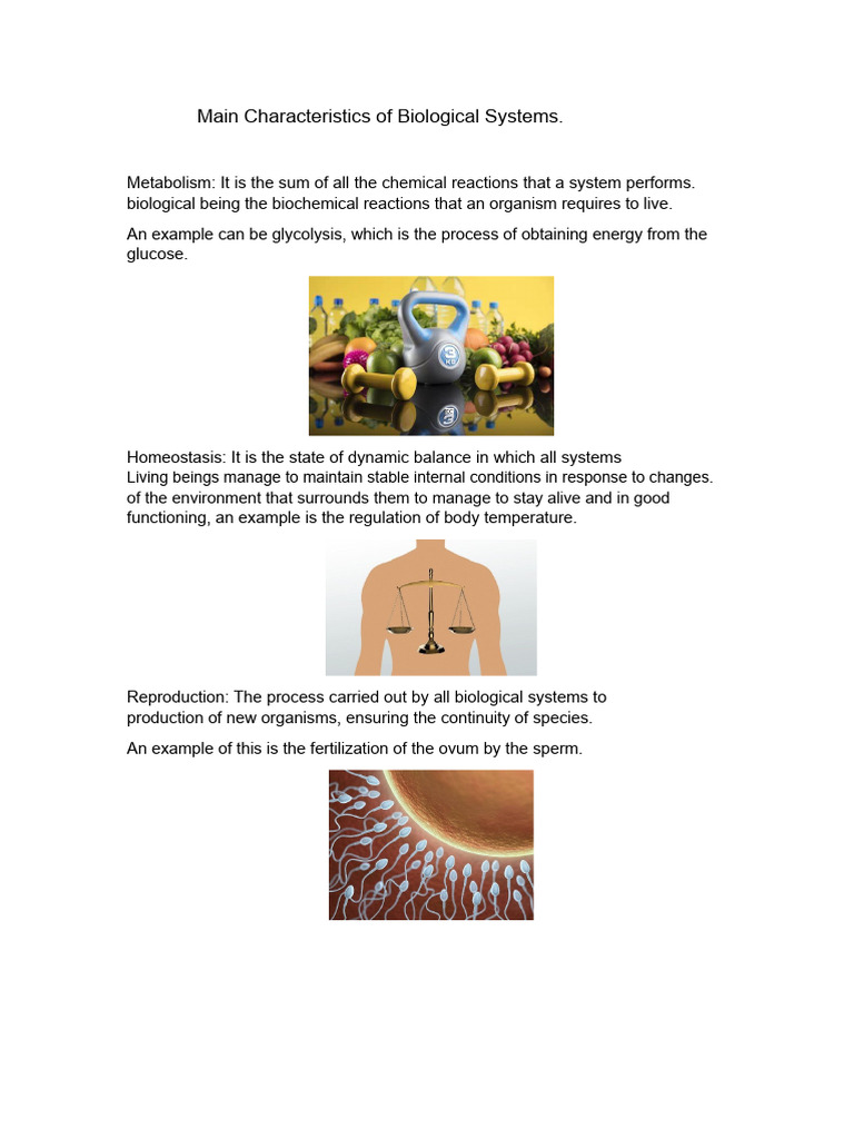 Key Traits of Biological Systems | PDF