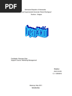 Adidas Organizational Structure Analysis | PDF | Adidas | Hierarchy
