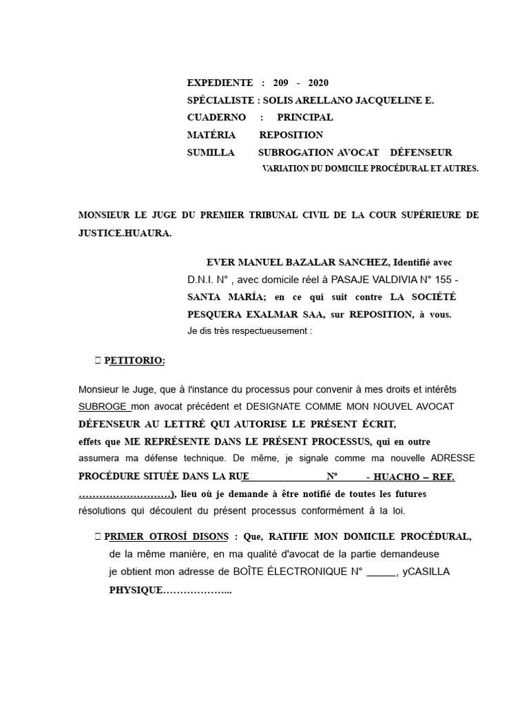 Demande de Subrogation d'Avocat 2020 | PDF