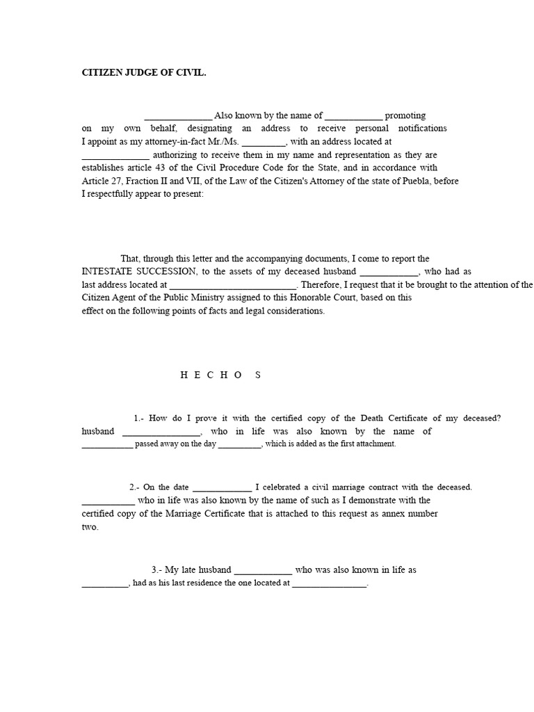 format for intestate succession | PDF | Private Law | Legal Documents
