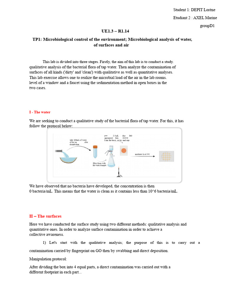microbiology environment lab | PDF | Bacteria | Disinfectant